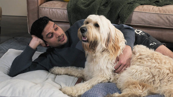 Neighbours begins Trevor the Dog's Ramsay Street departure