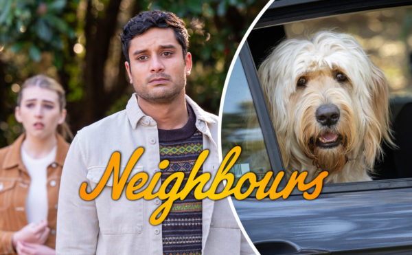 Neighbours Spoilers and News - Back to the Bay