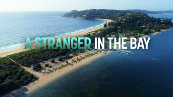 Home and Away previews horror Summer Bay shooting to air in 2025 ...