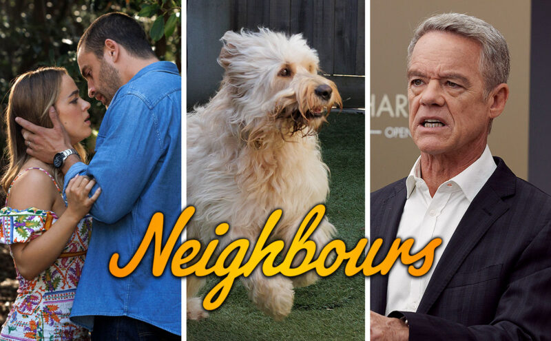 12 Neighbours Spoilers for Next Week – 4th to 7th August